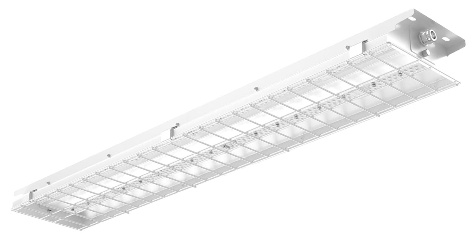 Evolve Lighting | LED Lighting specialists | New Zealand